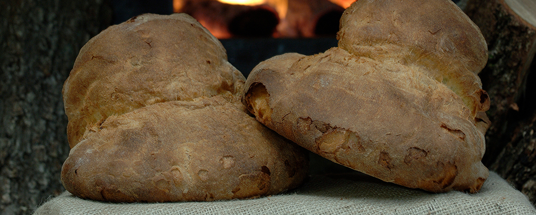 Puglian Food Odyssey - Back Track Adventures