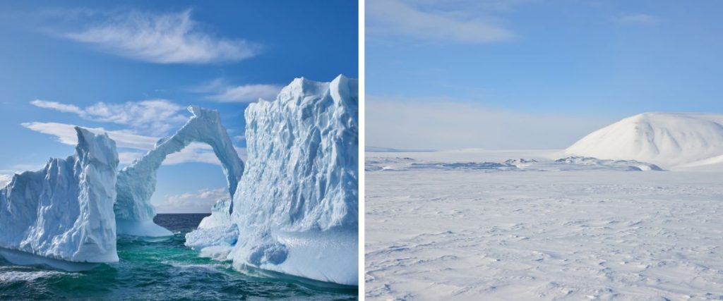 The Ultimate Guide to Polar Travel: Arctic vs Antarctica - Back Track ...