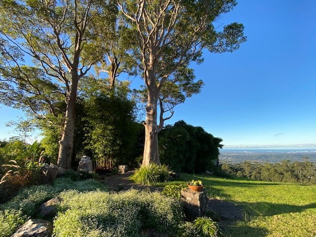How to Spend 48 Hours in the Scenic Rim - Back Track Adventures